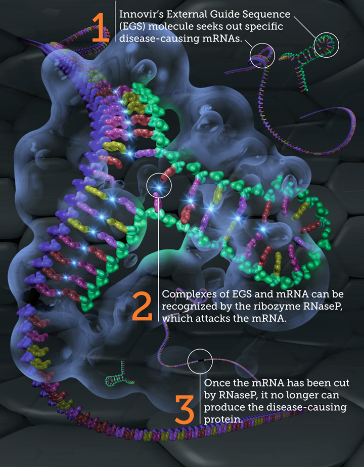 Infographic for a Biotech - Michael Aron